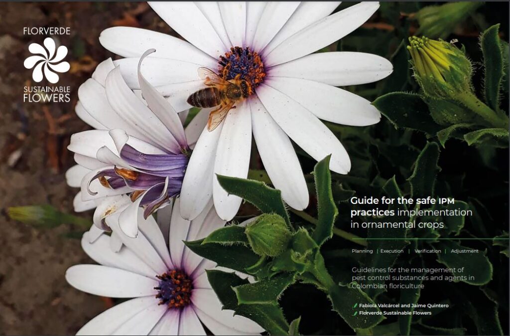 Library – Florverde